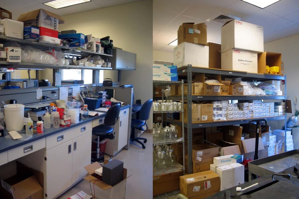 Lean: Impact on Organizations – biopm, llc