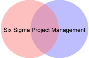 Six Sigma Project Management – biopm, llc