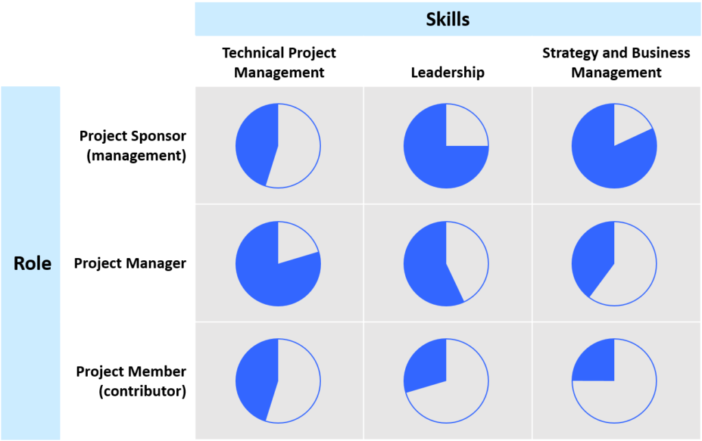 Project Management Skills And Capabilities Biopm Llc